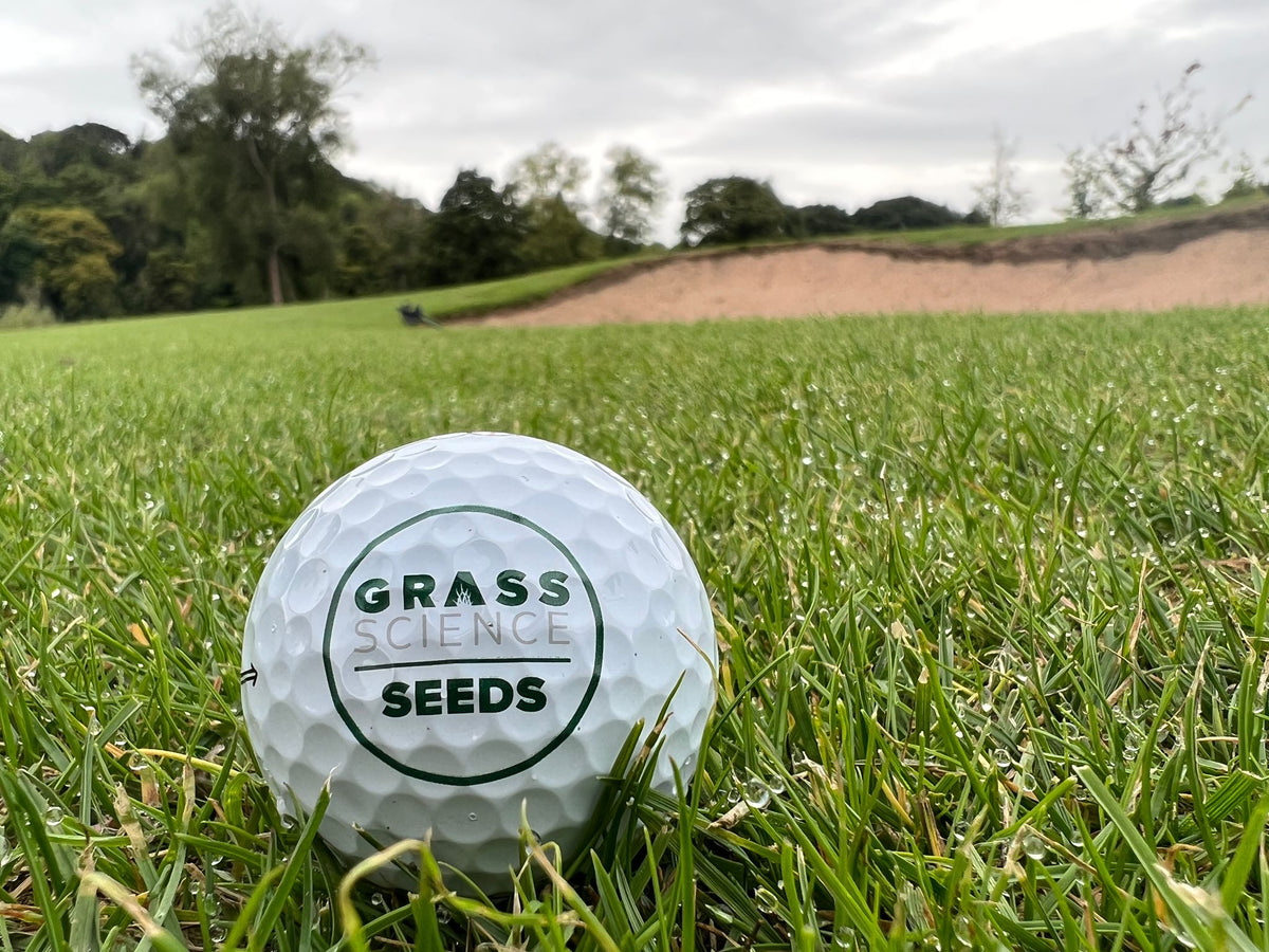 5 Tips to Maximise Turf Performance – Grass Science Seeds