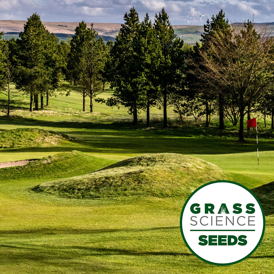 Amenity Grass Seed - GSS WINTER ACTIVE (Dwarf Rye) – Grass Science Seeds