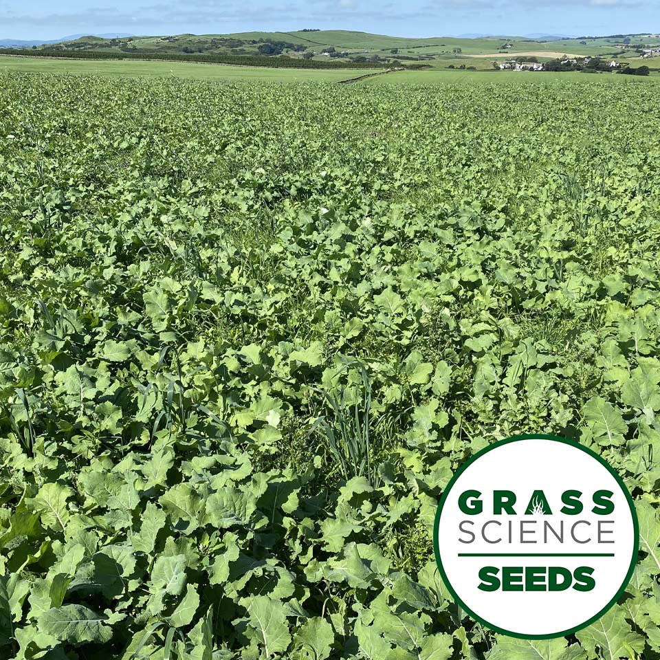 Agricultural Grass Seed - GSS BESPOKE MIXTURE – Grass Science Seeds