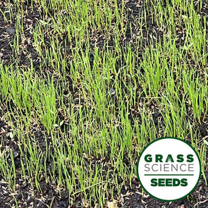 Grass Science Seeds - Agricultural, Amenity and Wildflower Seeds